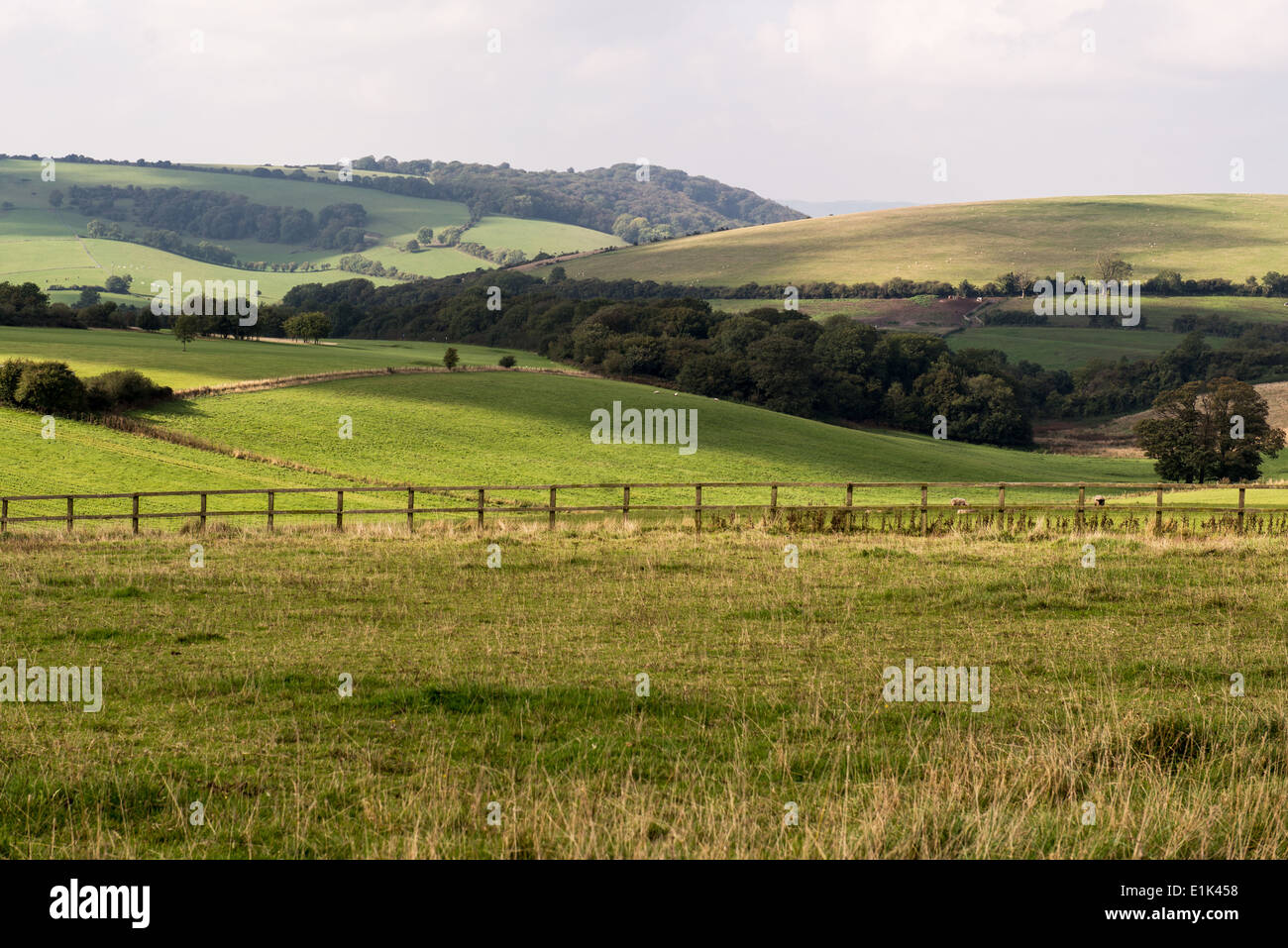 South Downs towards Pyecombe Stock Photo - Alamy