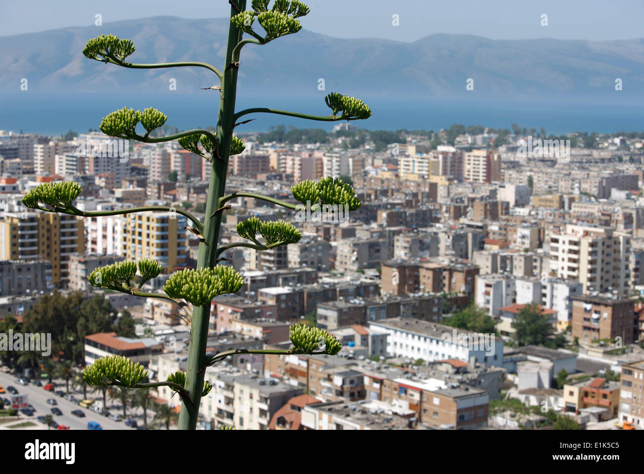 Vlora town hi-res stock photography and images - Alamy