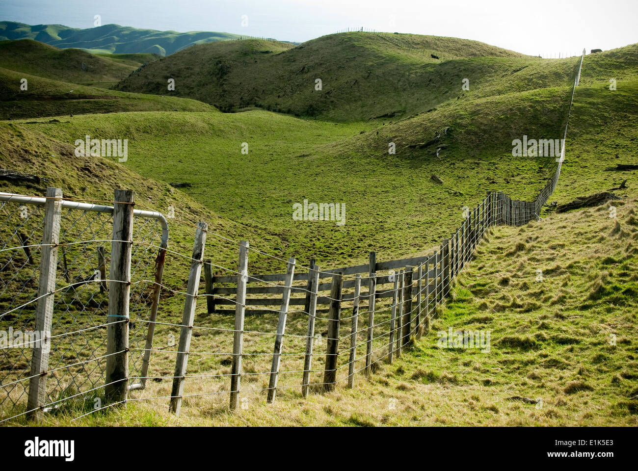 Fence, farmland, rolling, hills, New Zealand Stock Photo - Alamy