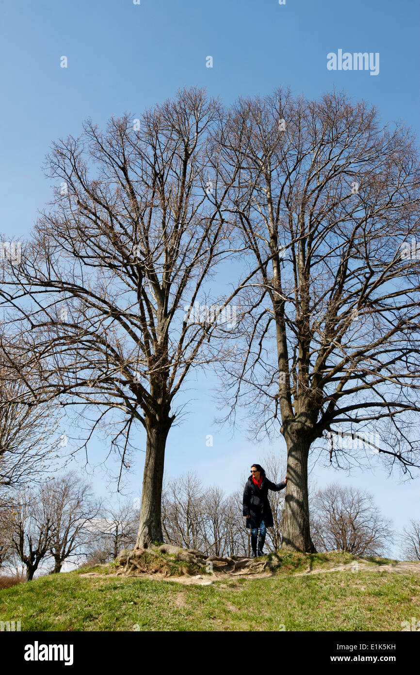 Woman and trees Stock Photo - Alamy