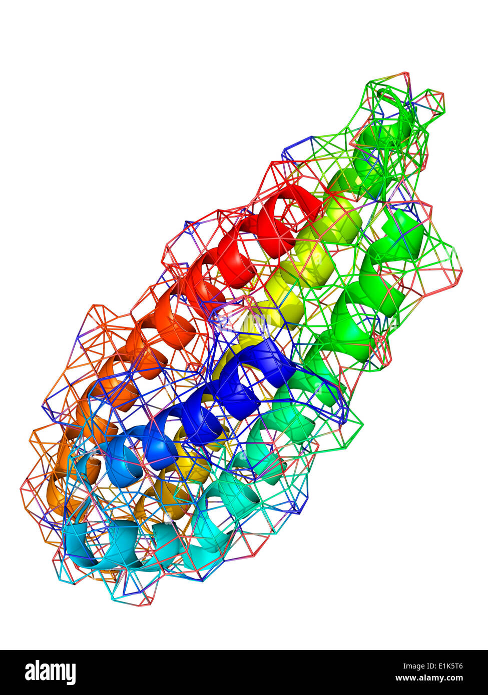 Erythropoietin Molecular model of the human erythropoietin (EPO Stock ...