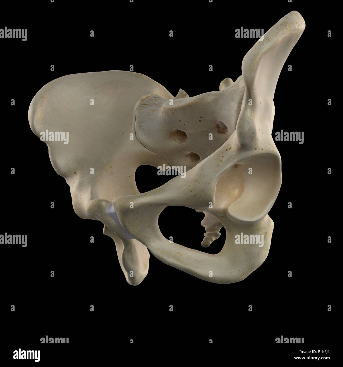 Iliac crest hi-res stock photography and images - Alamy