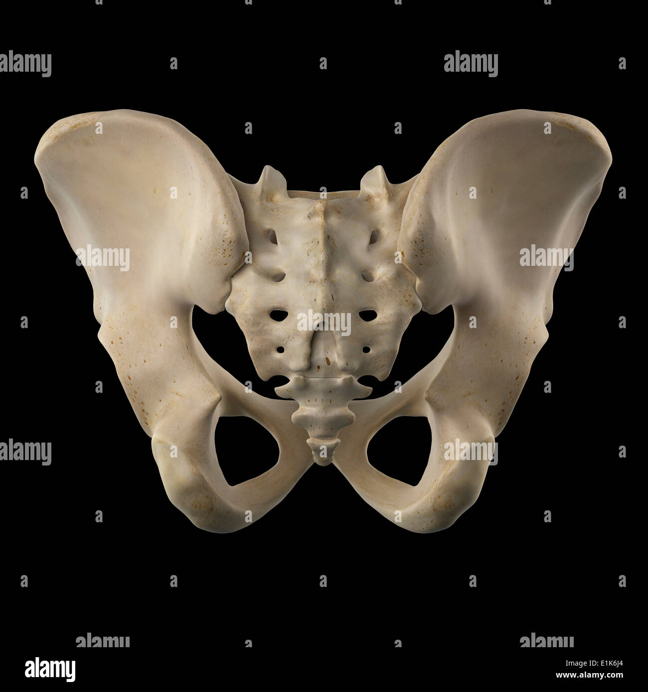 Iliac Crest High Resolution Stock Photography and Images - Alamy