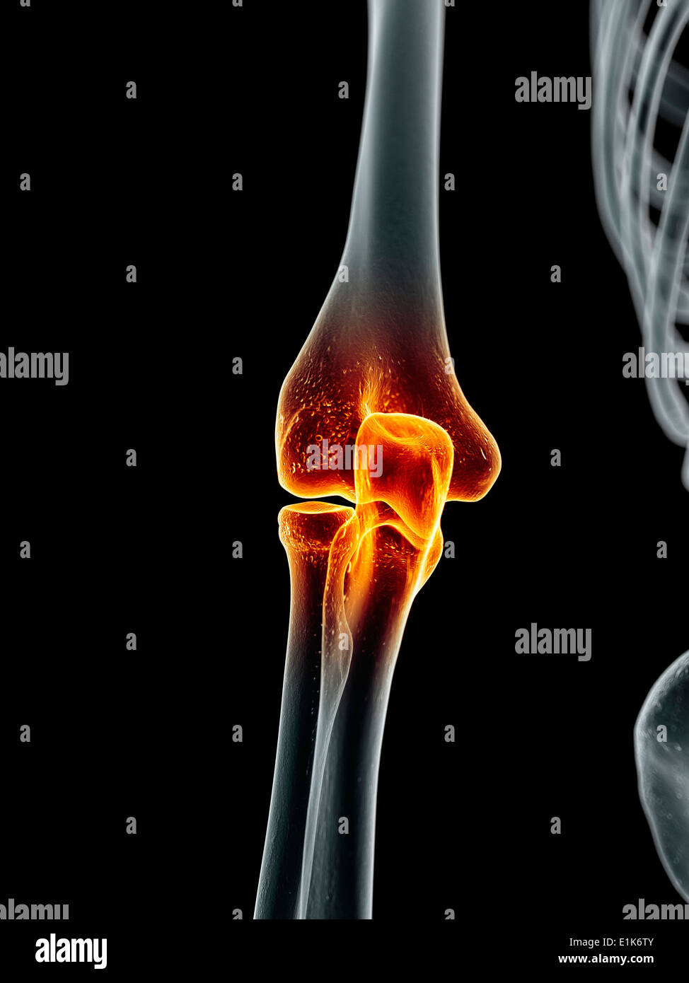 Elbow joint hi-res stock photography and images - Alamy