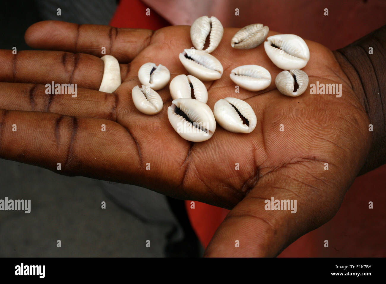 Shells used by fortune tellers Stock Photo - Alamy