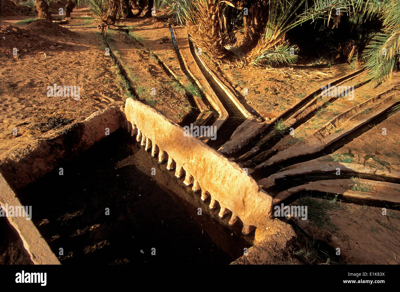 Irrigation canals in the Timimoun area oase Stock Photo - Alamy