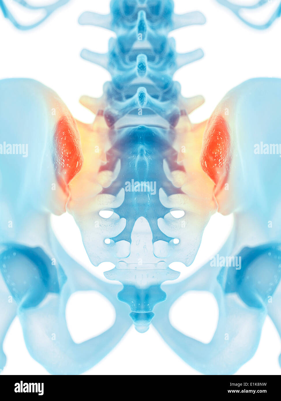 Painful sacroiliac joint hi-res stock photography and images - Alamy