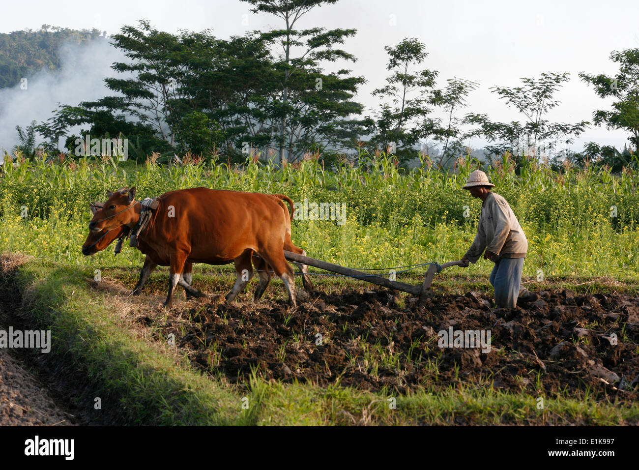 Farmer ploughing his field Stock Photo - Alamy