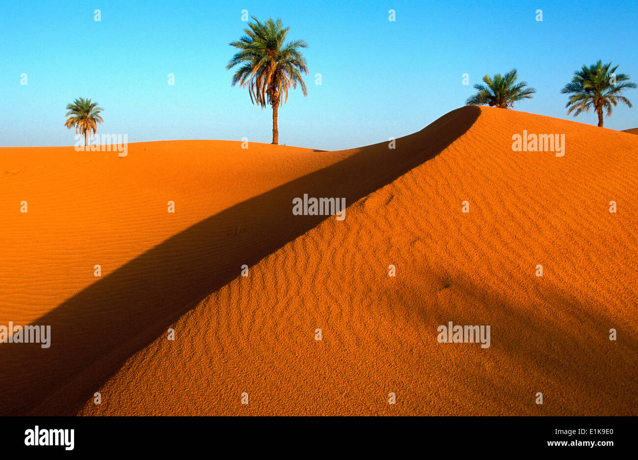 Sand dunes in Timinoun area Stock Photo - Alamy