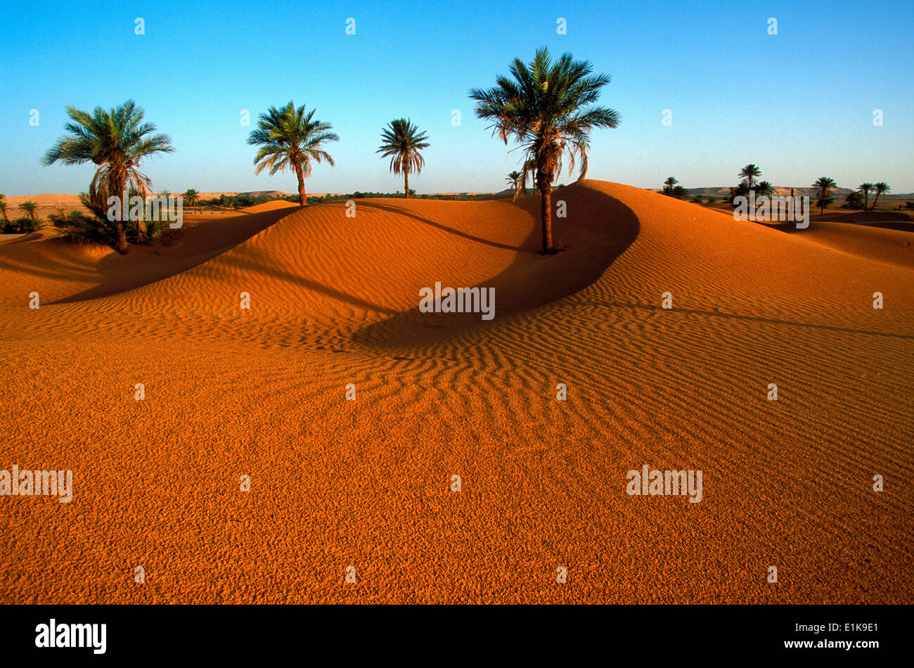 Sand dunes in Timinoun area Stock Photo - Alamy