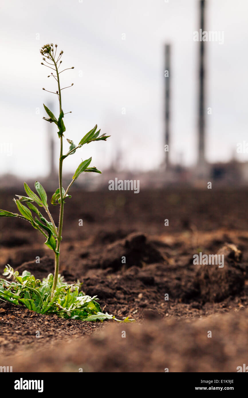 view of smoking coal Stock Photo - Alamy