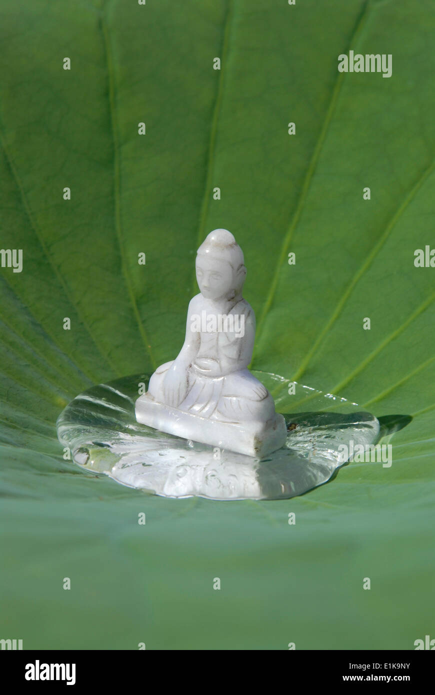 Buddha in a lotus flower Stock Photo - Alamy
