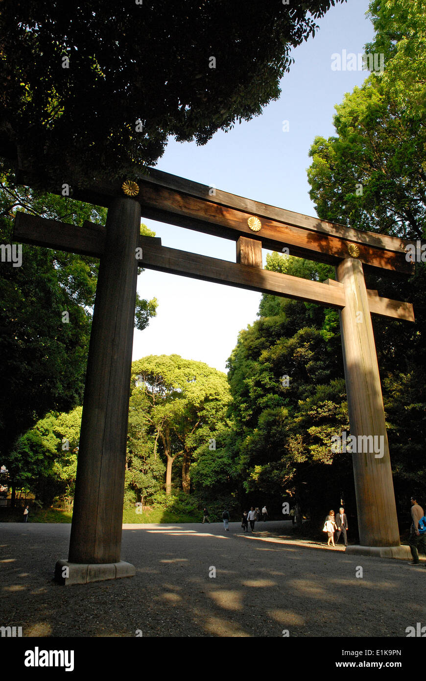 Torii sacred gates leading to Meiji Jingu shrine Stock Photo - Alamy