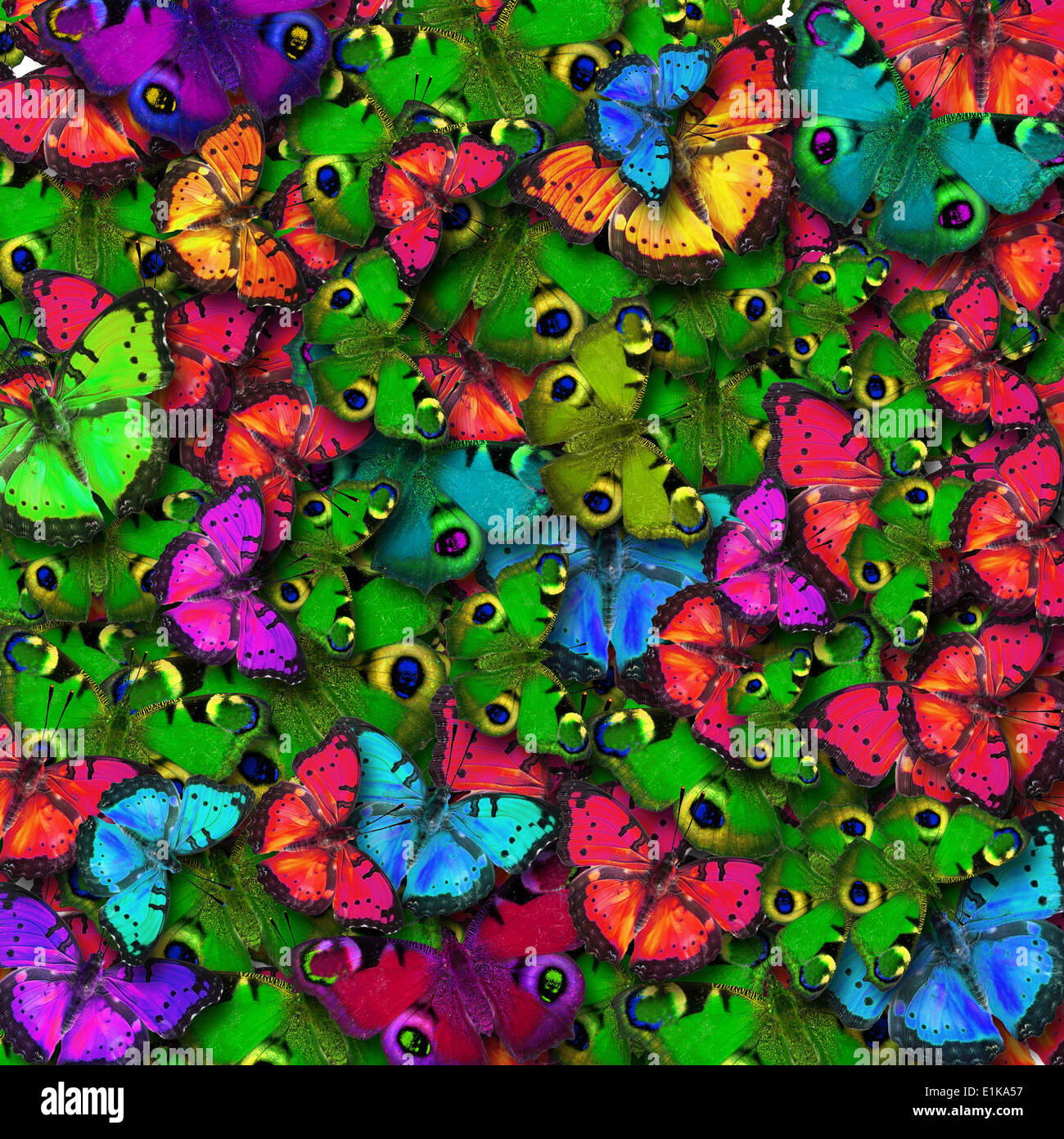 Butterfly colorful background Stock Photo - Alamy