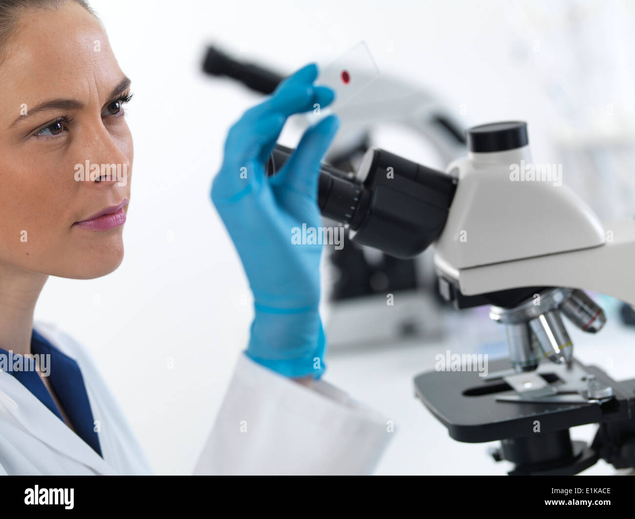 Microscope slide blood hi-res stock photography and images - Alamy