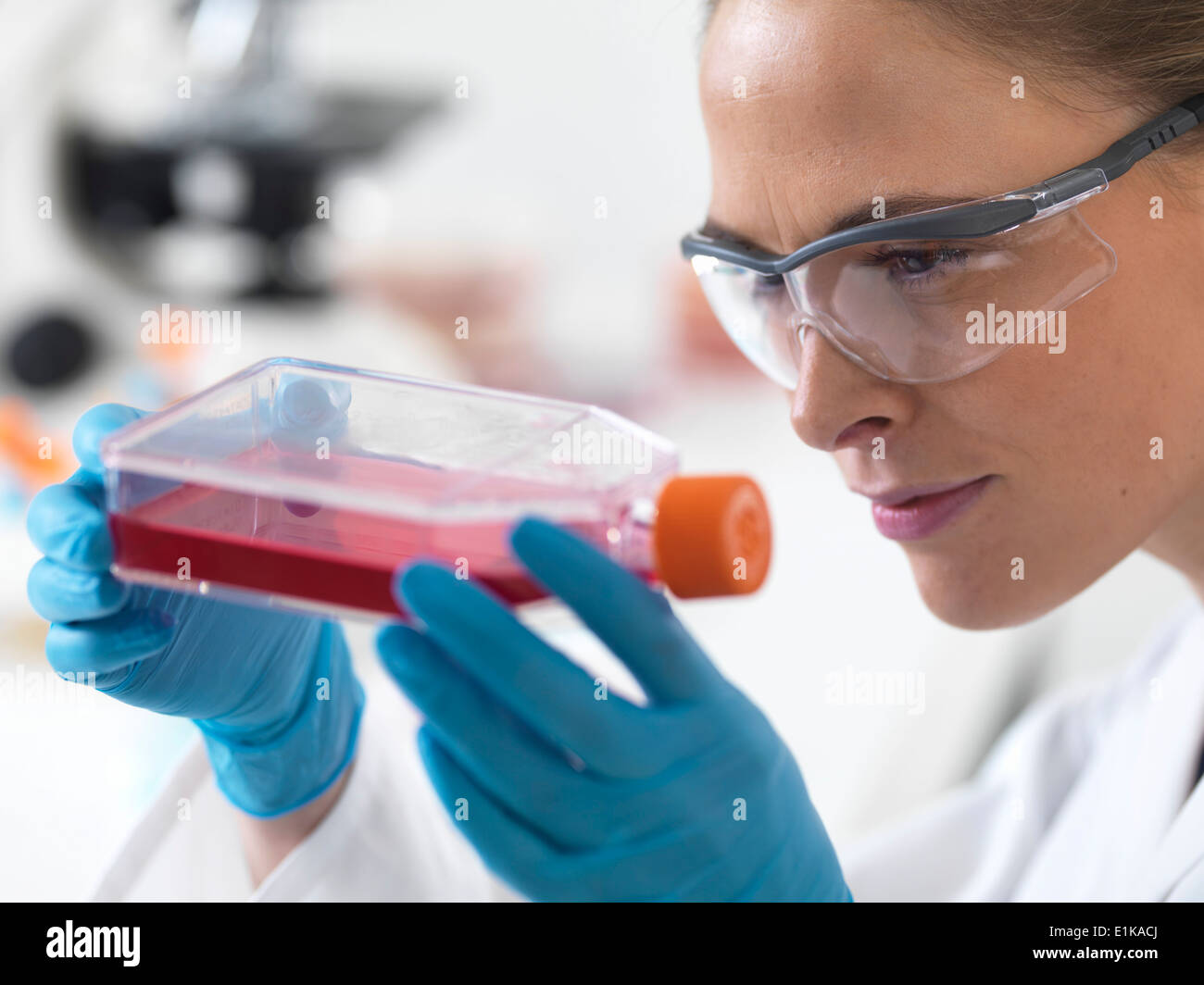 Female biologist holding a flask containing stem cells Stock Photo - Alamy