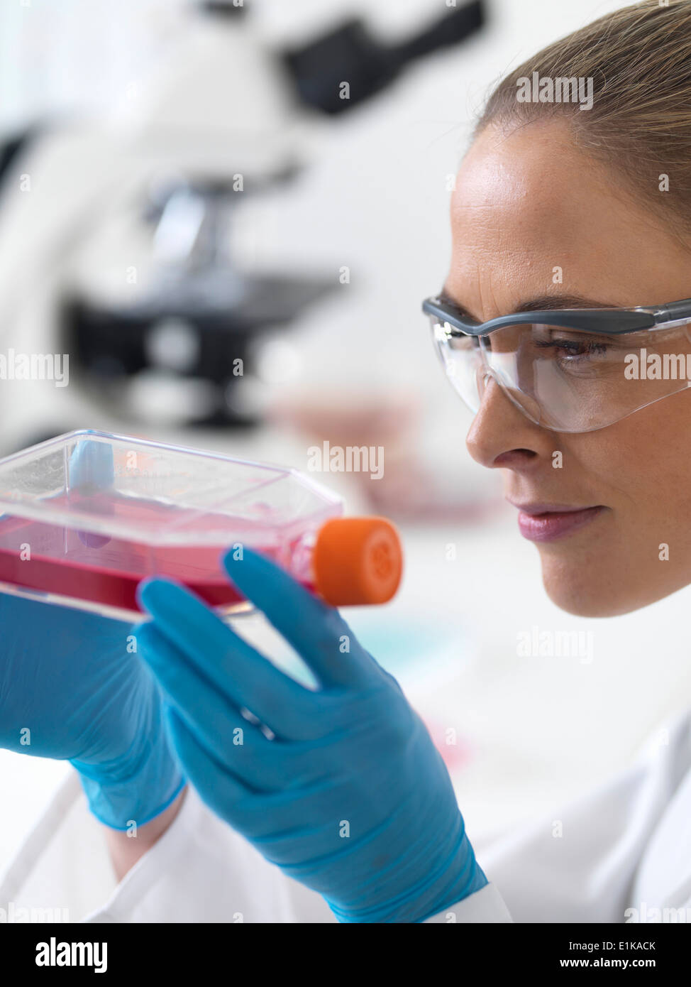 Female biologist holding a flask containing stem cells Stock Photo - Alamy