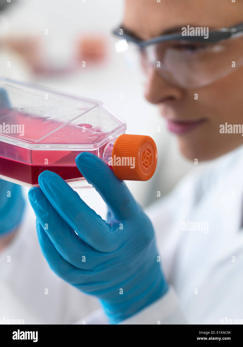 Lab hand holding cells hi-res stock photography and images - Alamy