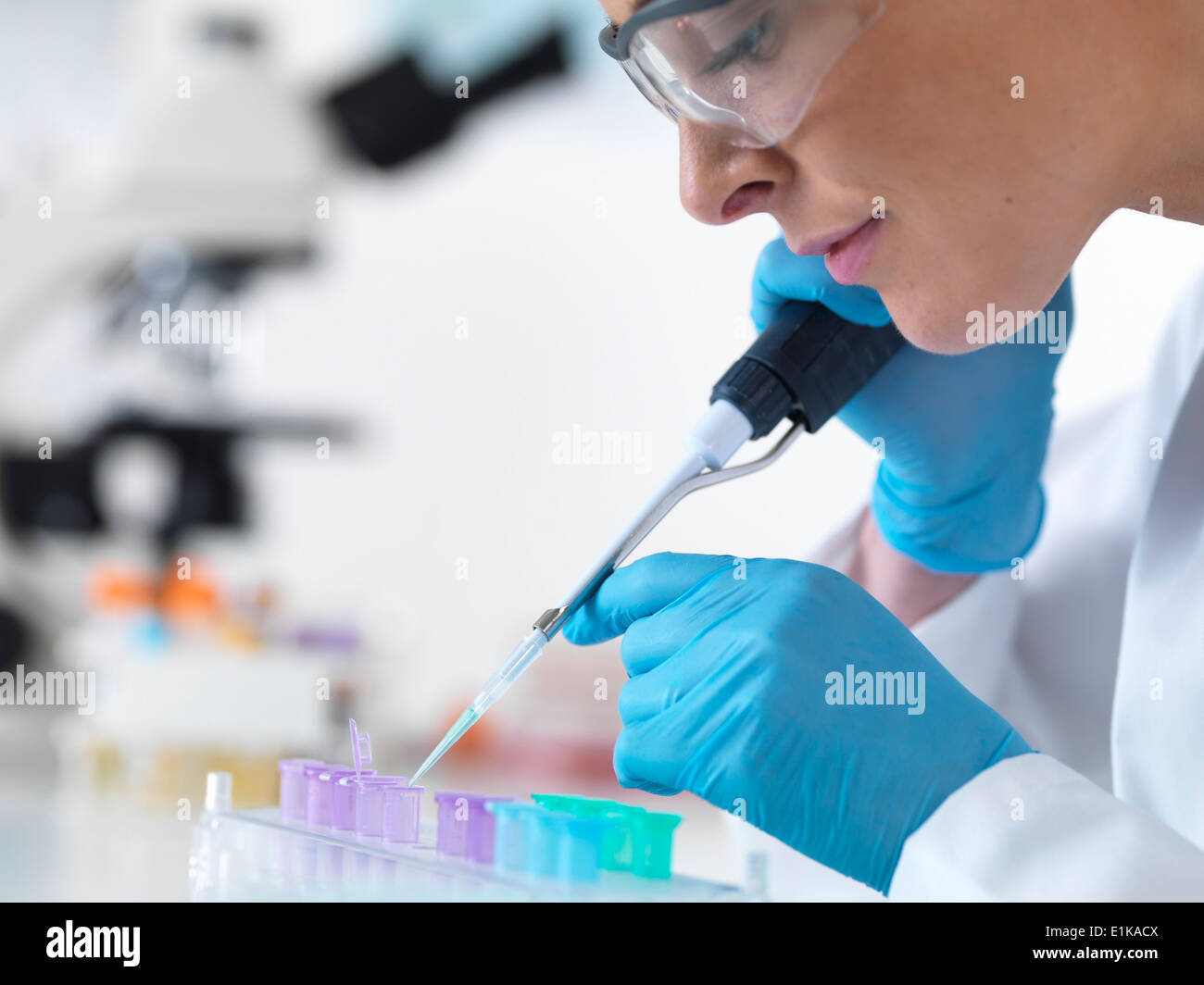 Female scientist using pipette to drop liquid into eppendorf tubes ...