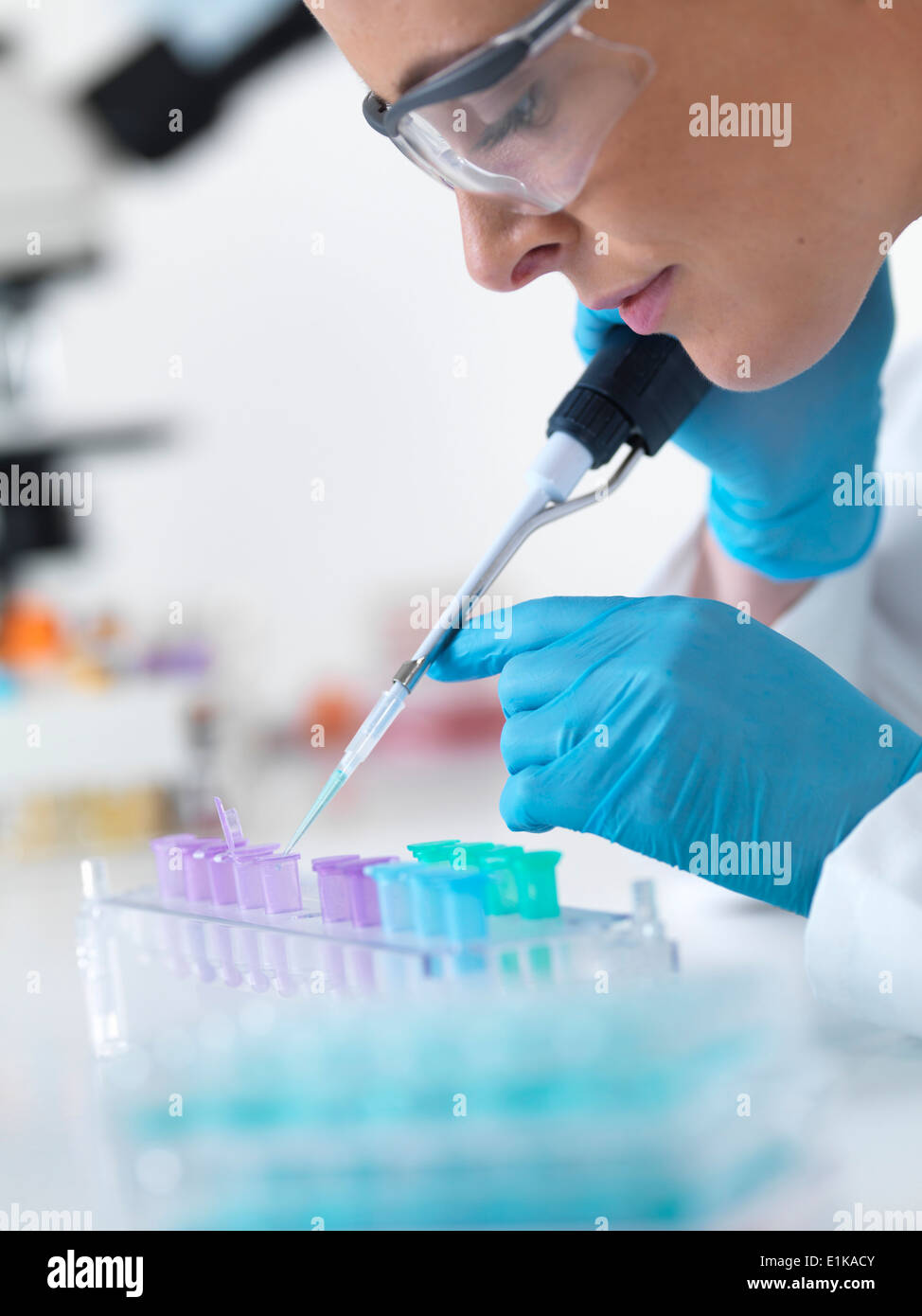Female scientist using pipette to drop liquid into eppendorf tubes ...