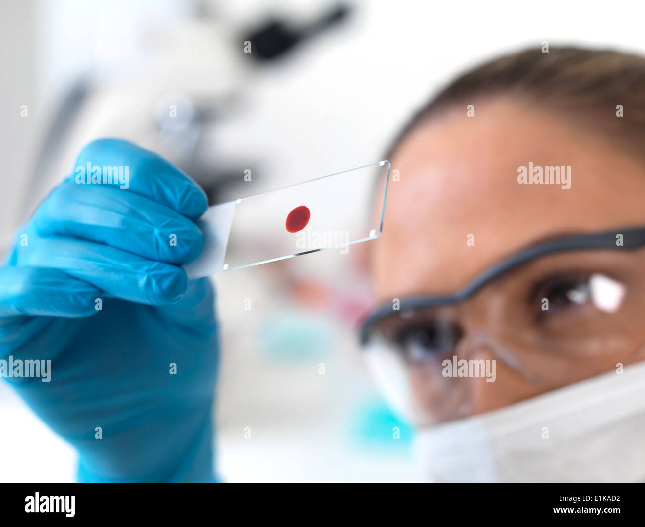 Female scientist holding a microscope slide with a blood sample Stock ...
