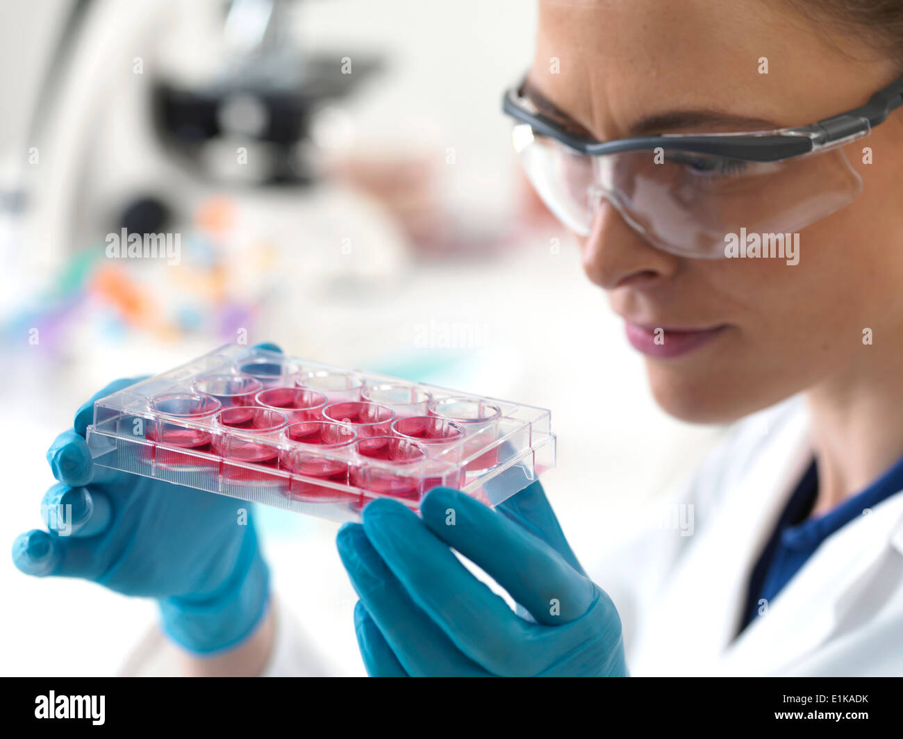 Female scientist holding a multiwell tray containing stem cell samples ...