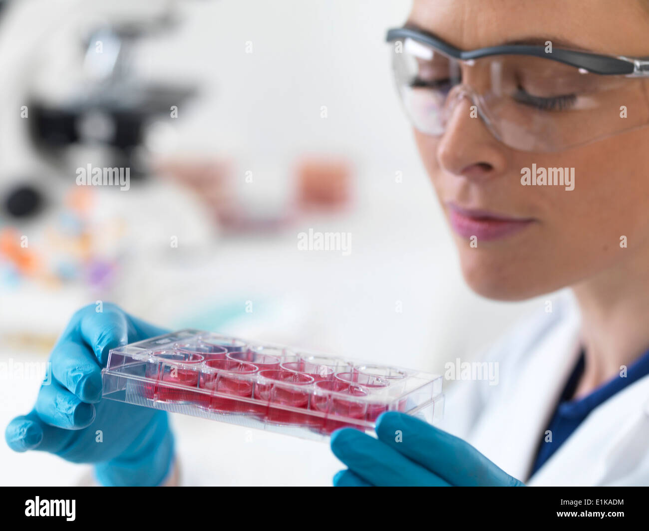Multiwell sample tray close hi-res stock photography and images - Alamy