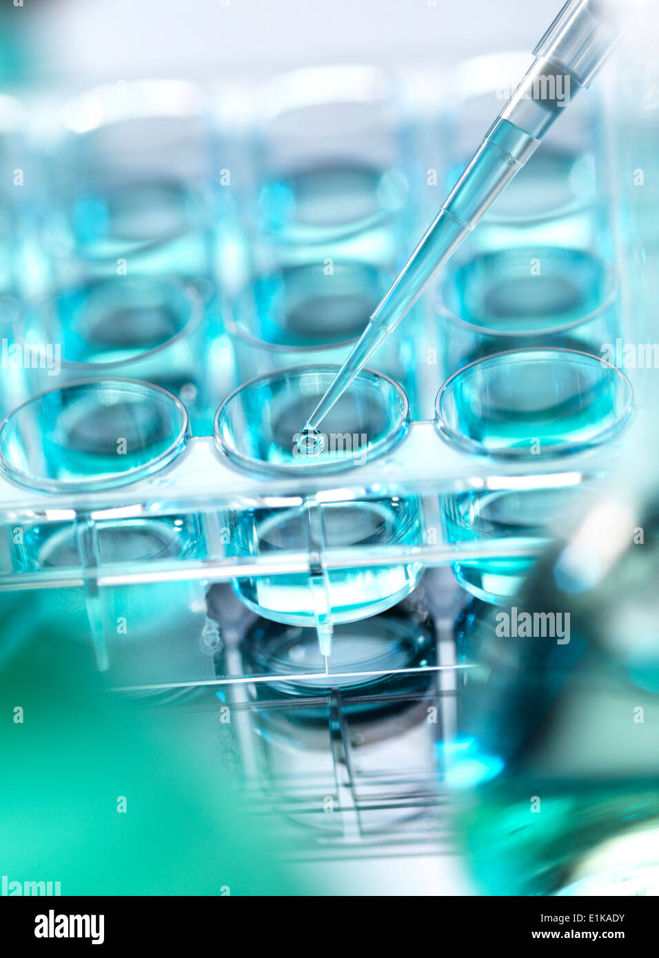 Multiwell sample tray hi-res stock photography and images - Alamy