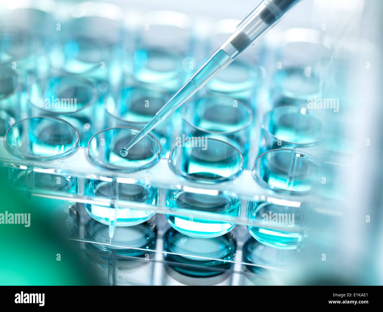 Multiwell sample tray hi-res stock photography and images - Alamy