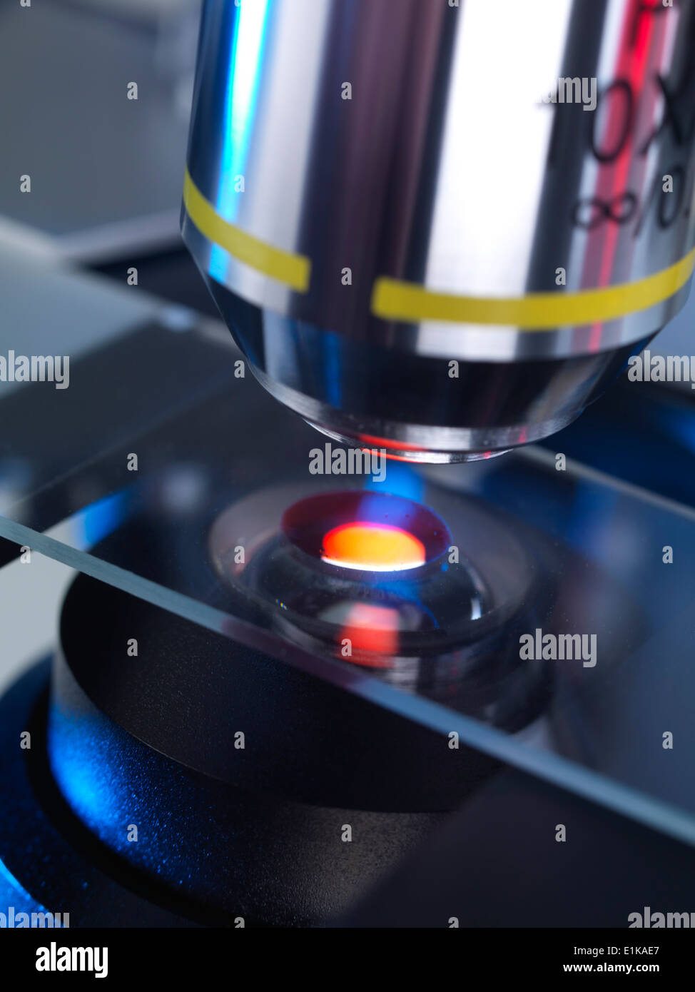 Microscope slide on microscope Stock Photo - Alamy