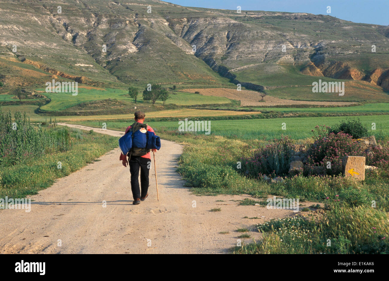 Pilgrim walking on the Santiago de Compostela path Stock Photo - Alamy