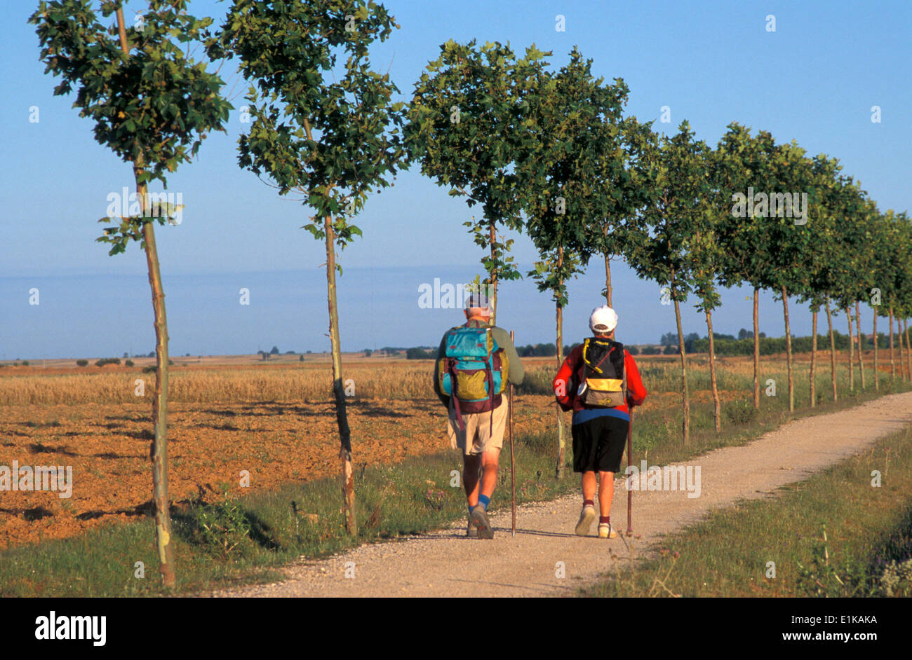 Compostela pilgrims and santiago hi-res stock photography and images ...