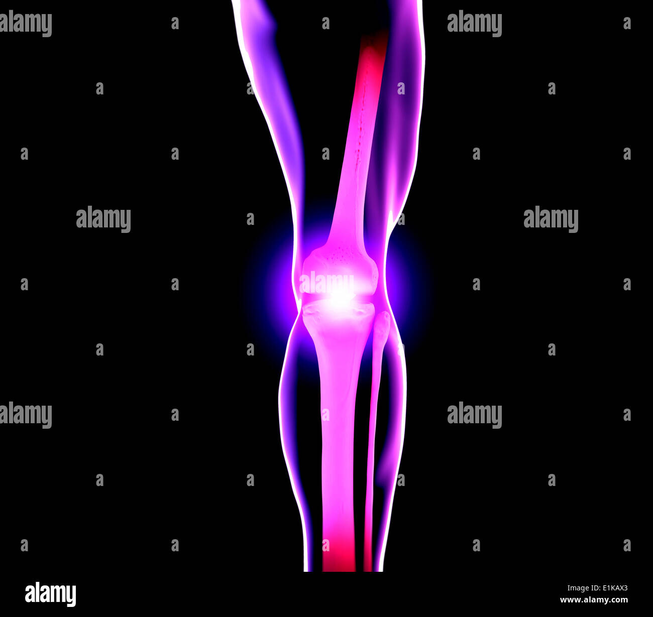 Human knee joint computer artwork Stock Photo - Alamy