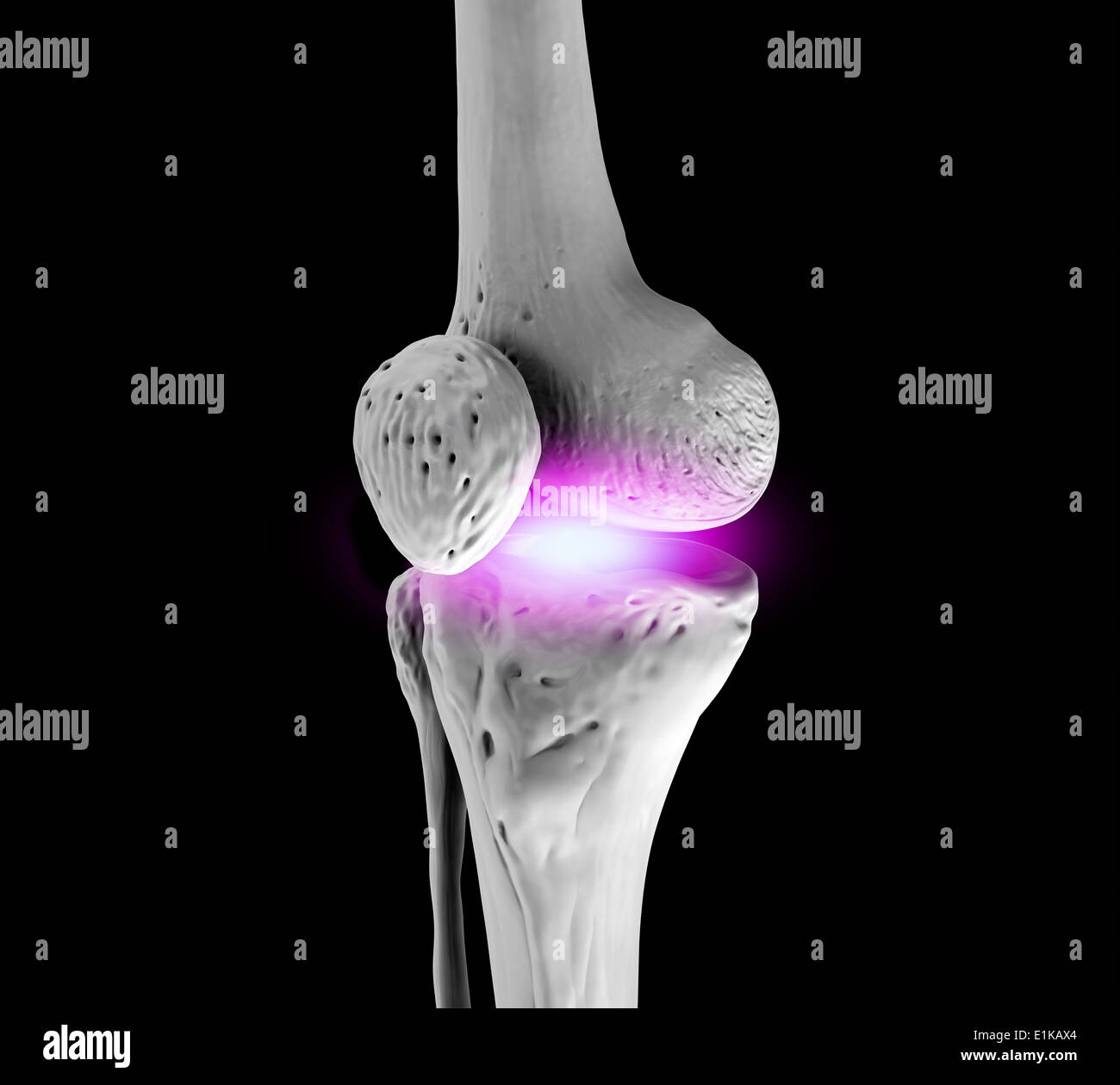 Human knee joint computer artwork Stock Photo - Alamy