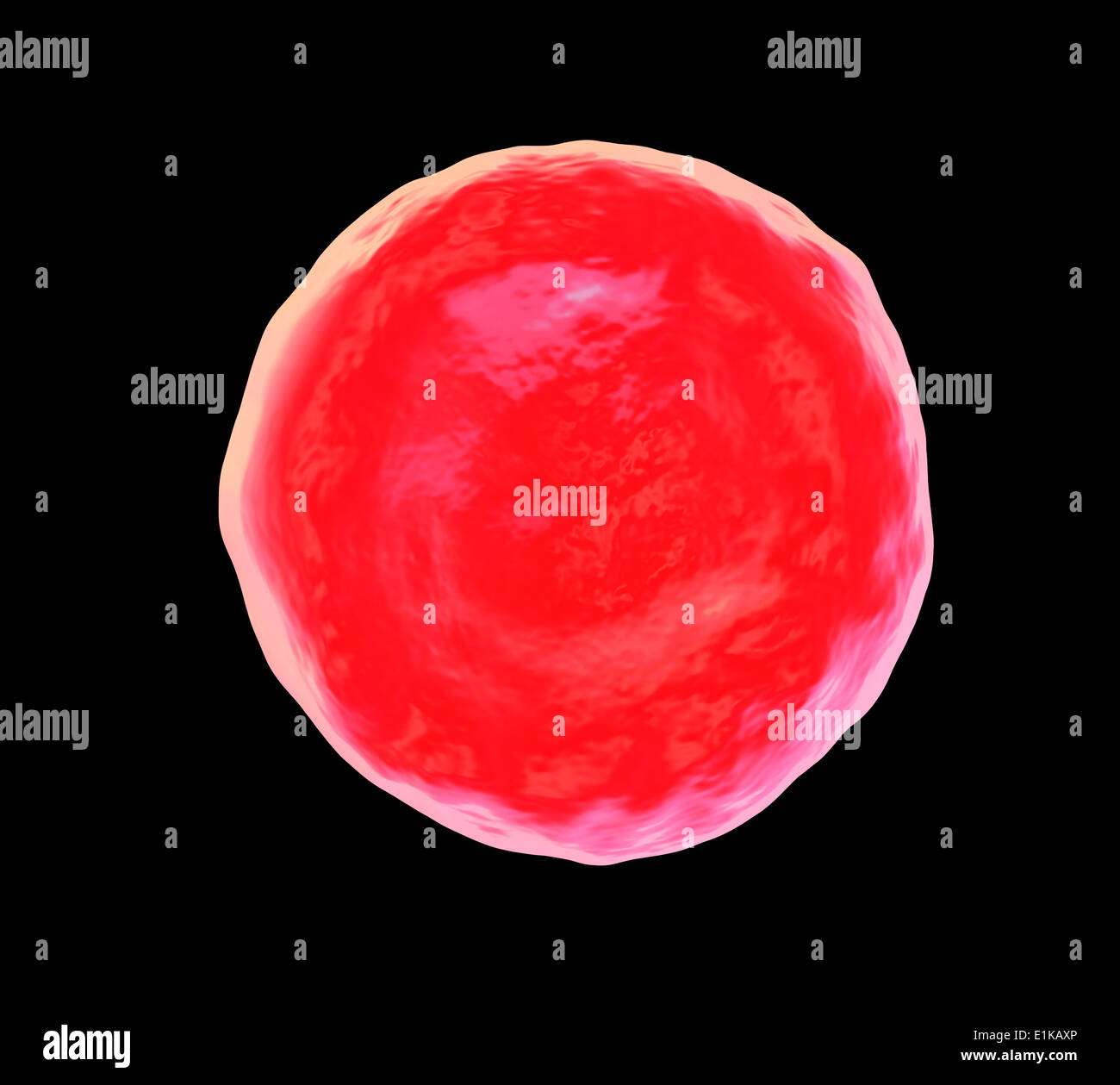 Red blood cell black background hi-res stock photography and images - Alamy