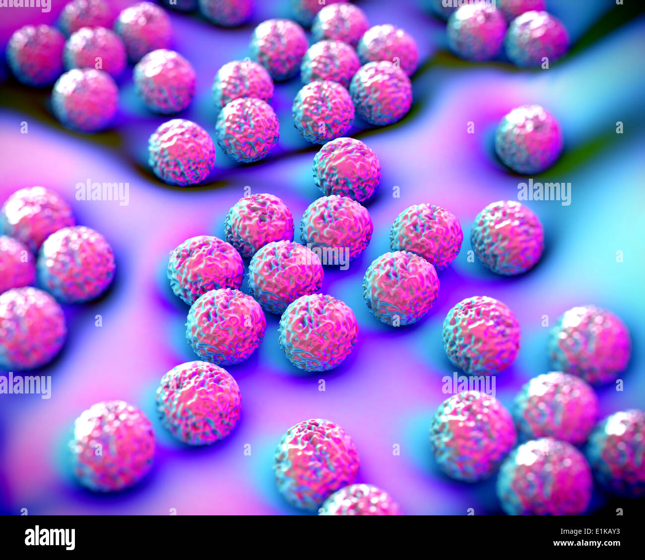 Superbug hi-res stock photography and images - Alamy