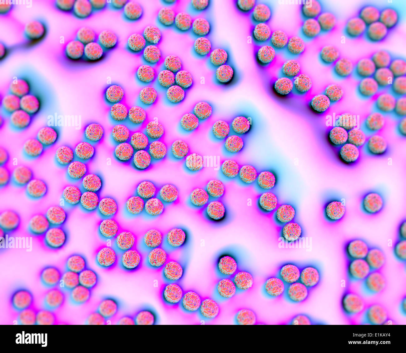 Superbug hi-res stock photography and images - Alamy
