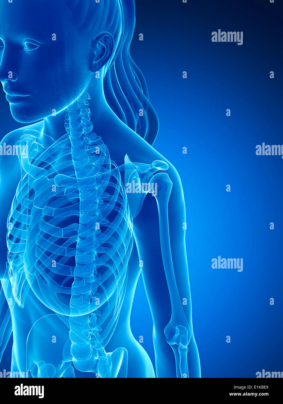 Skeleton at computer hi-res stock photography and images - Alamy