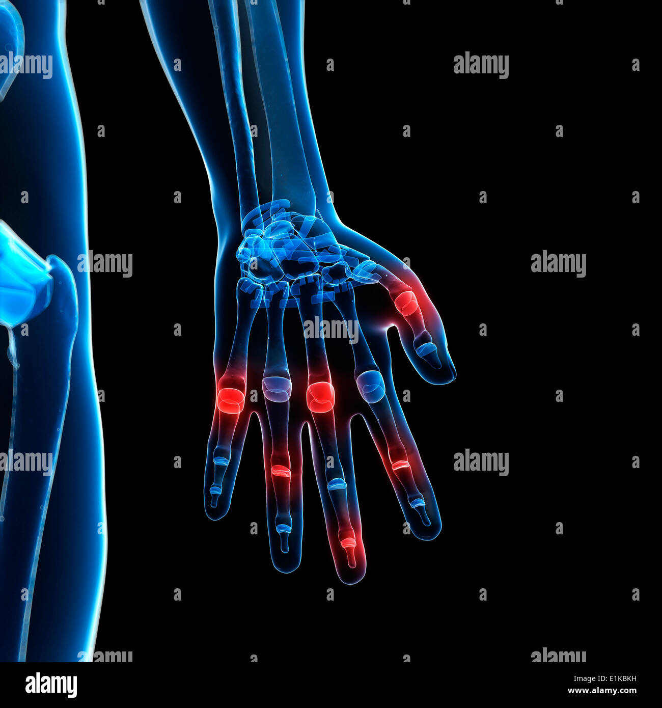 Human finger joints computer artwork Stock Photo - Alamy