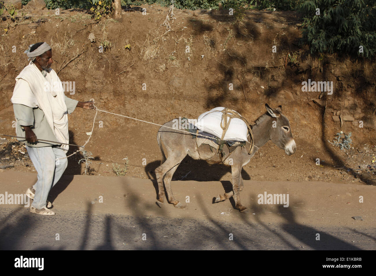 Man walking with donkey hi-res stock photography and images - Alamy