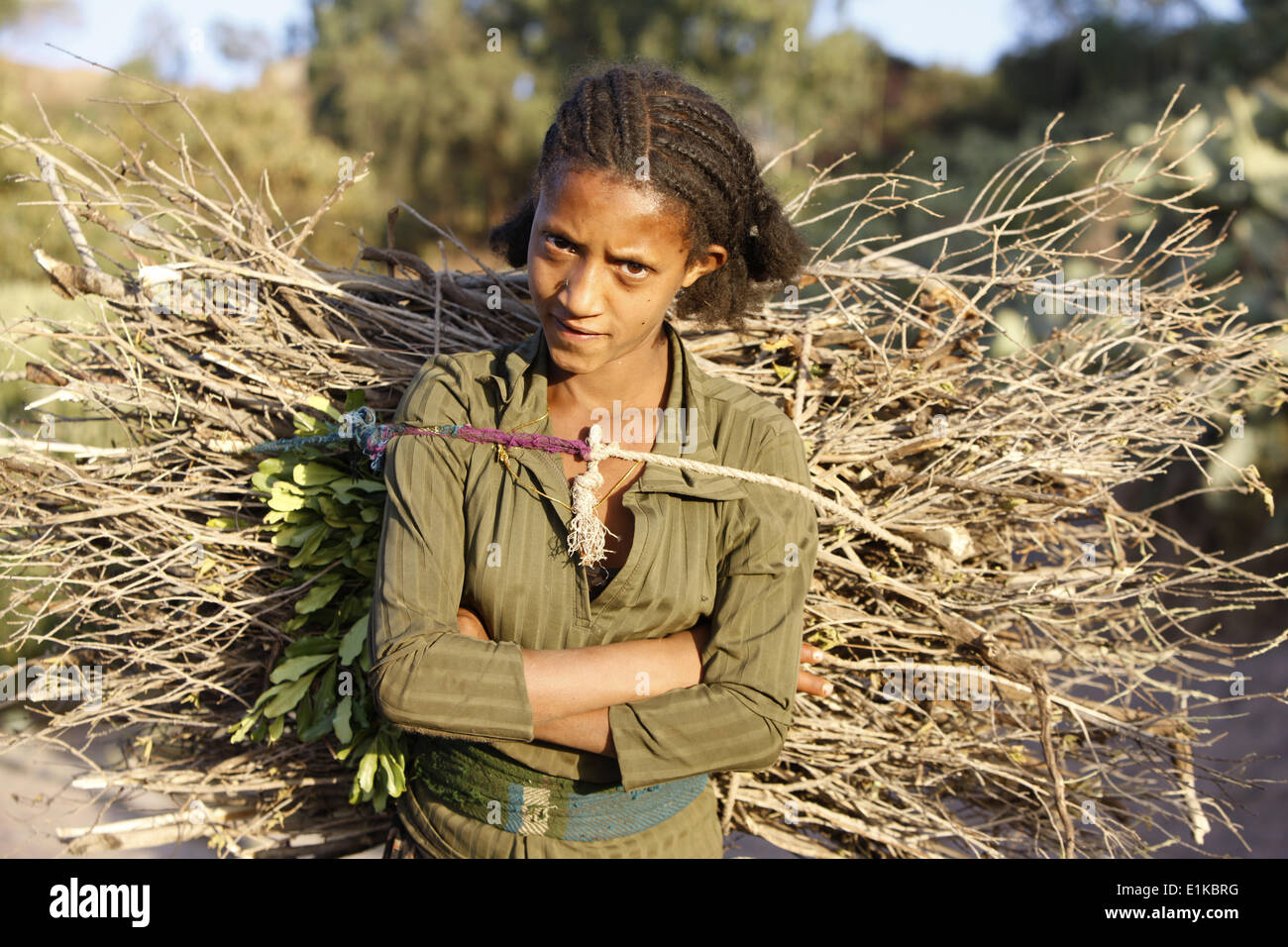 Girl carrying firewood Stock Photo - Alamy