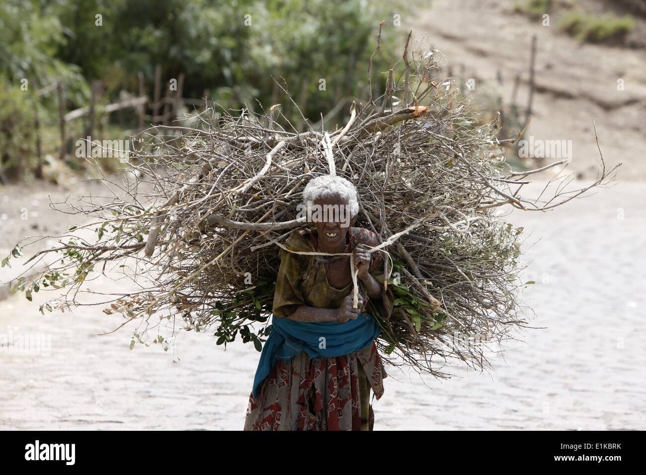 Old woman carrying wood hi-res stock photography and images - Alamy