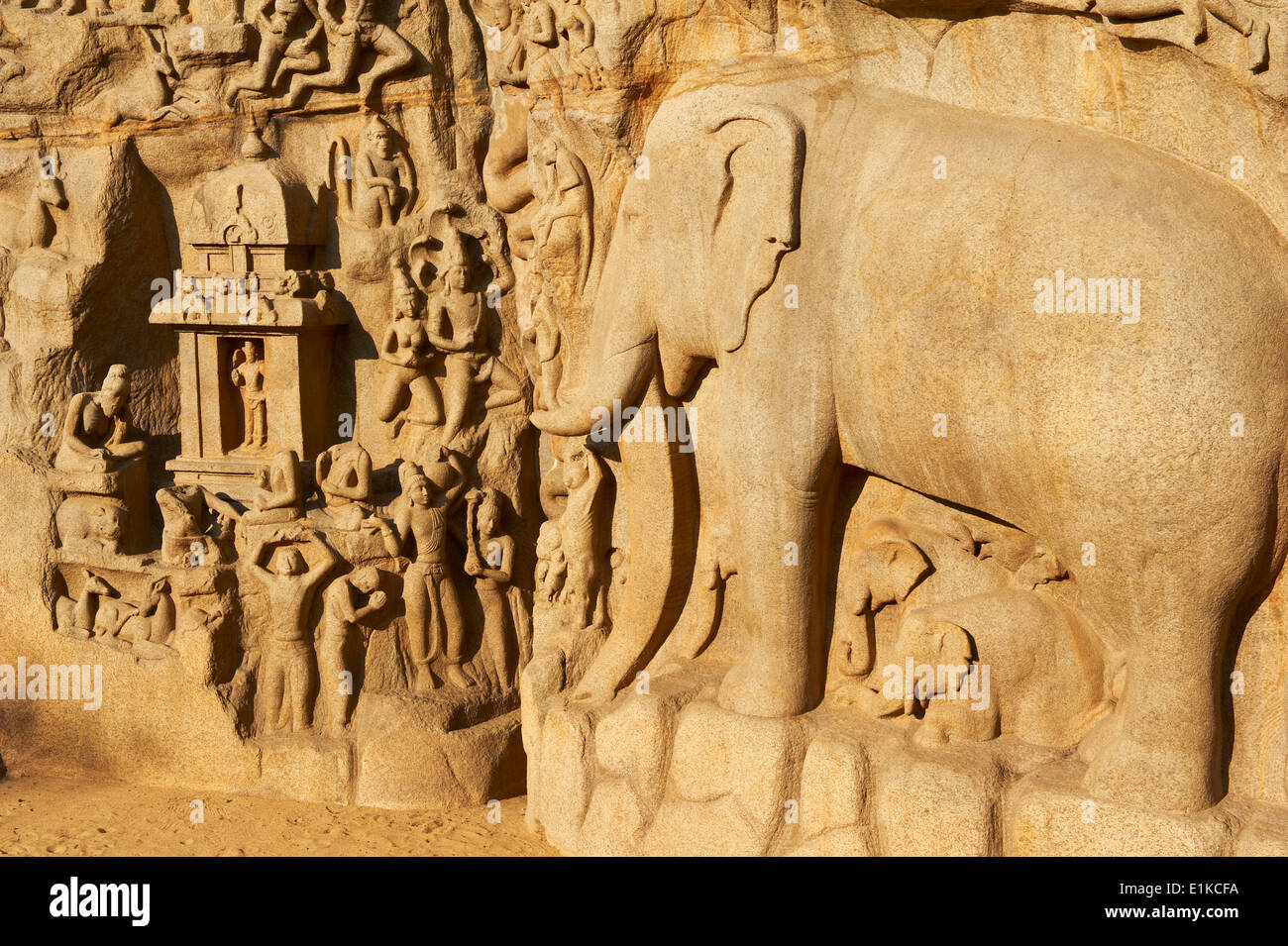 India, Tamil Nadu, Mamallapuram or Mahabalipuram, Arjunas Penance ...