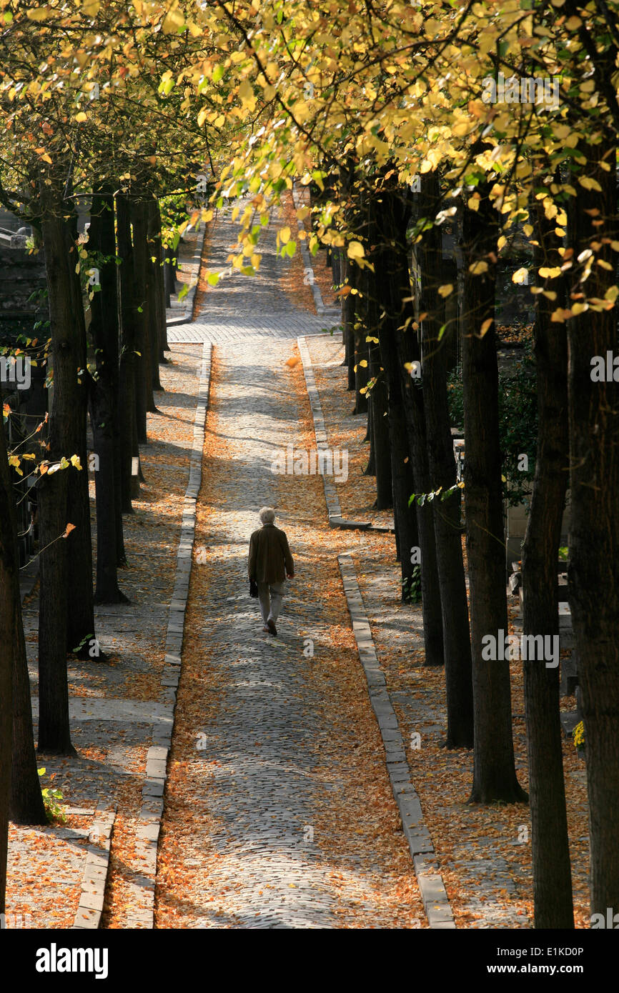 Marcheur hi-res stock photography and images - Alamy