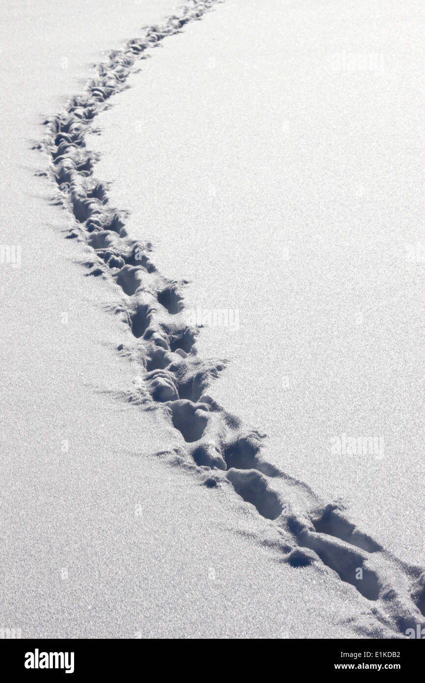 Footsteps hi-res stock photography and images - Alamy