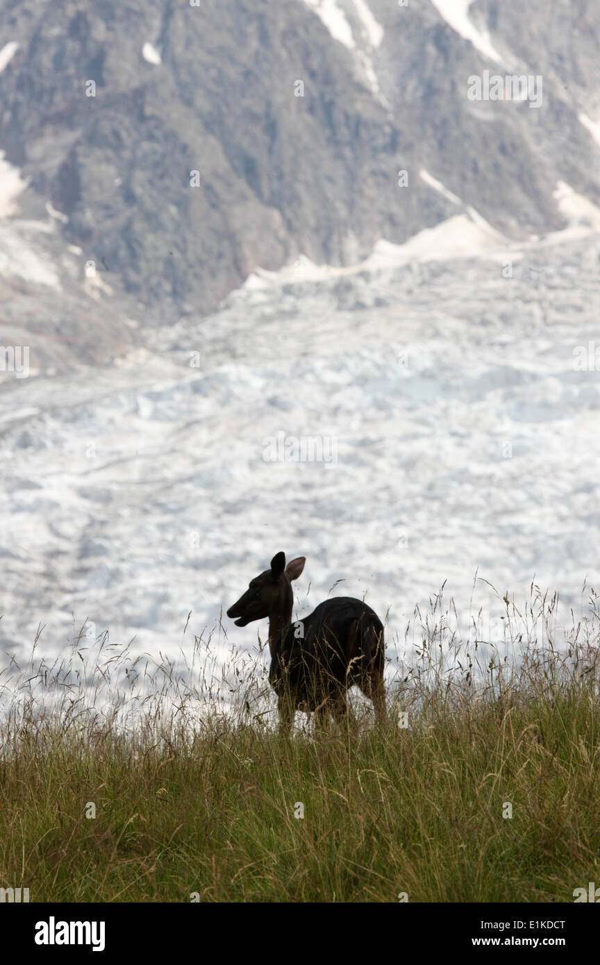 Merlet park hi-res stock photography and images - Alamy