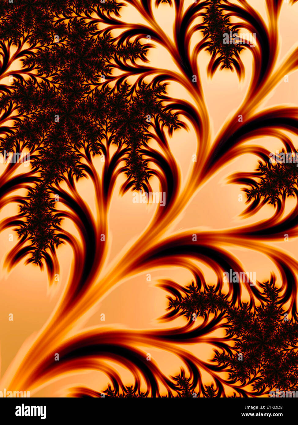 Mandelbrot fractal Computer graphic showing a fractal image derived from the Mandelbrot Set ...