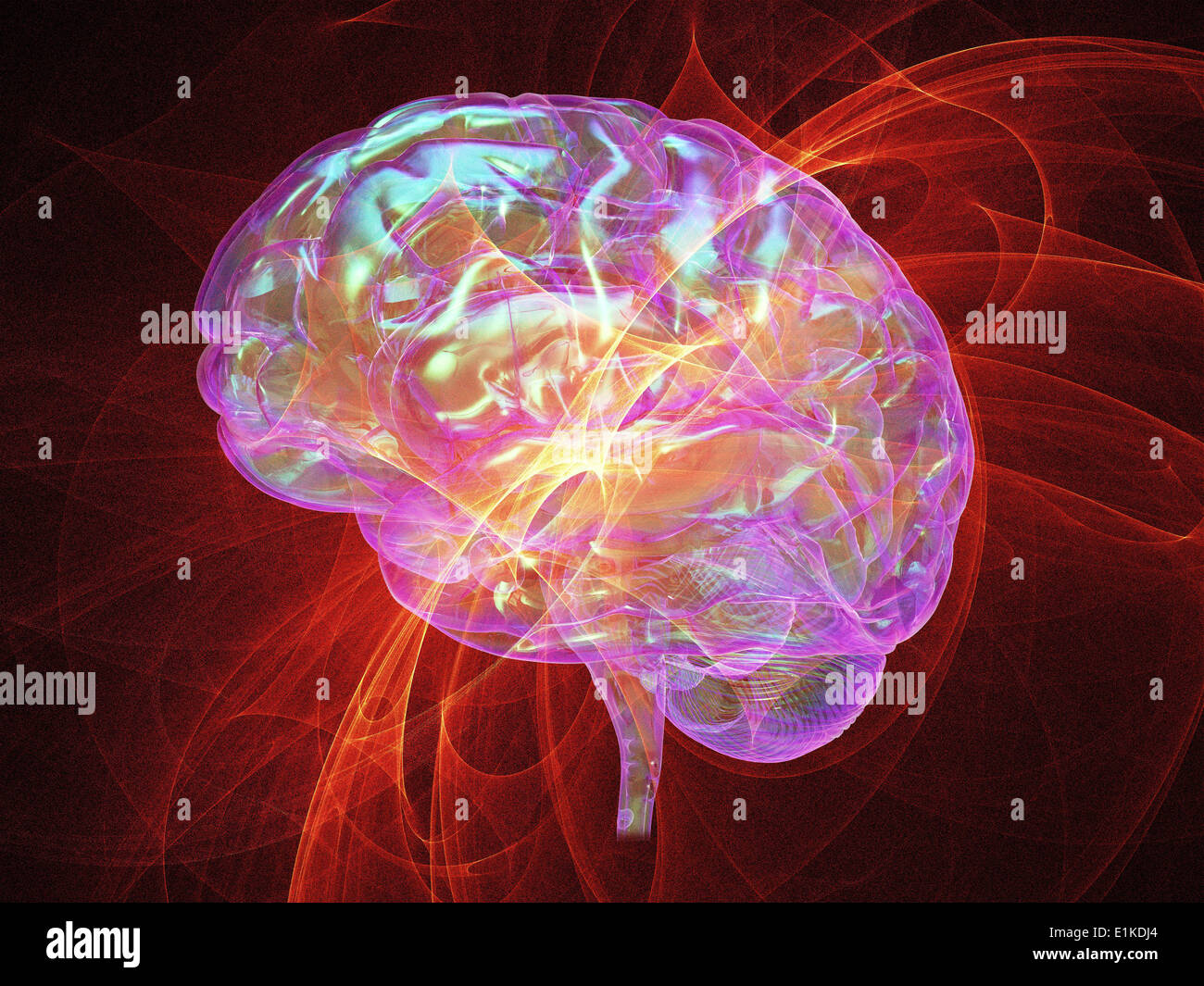 Human brain computer artwork Stock Photo - Alamy