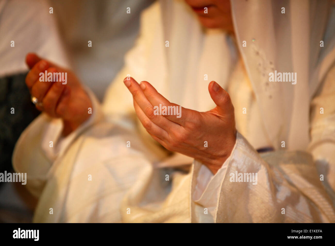 Allawiyya sufi tariqa (brotherhood) gathering. Prayer Stock Photo - Alamy