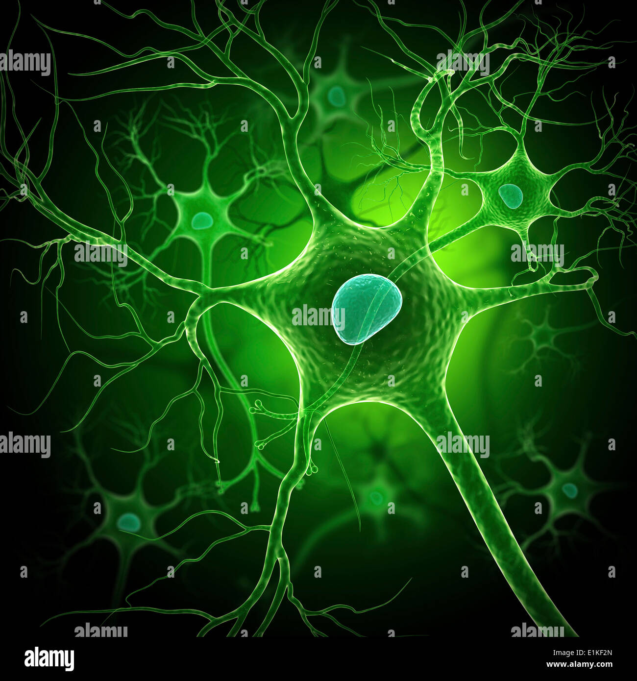 Nerve cell computer artwork Stock Photo - Alamy